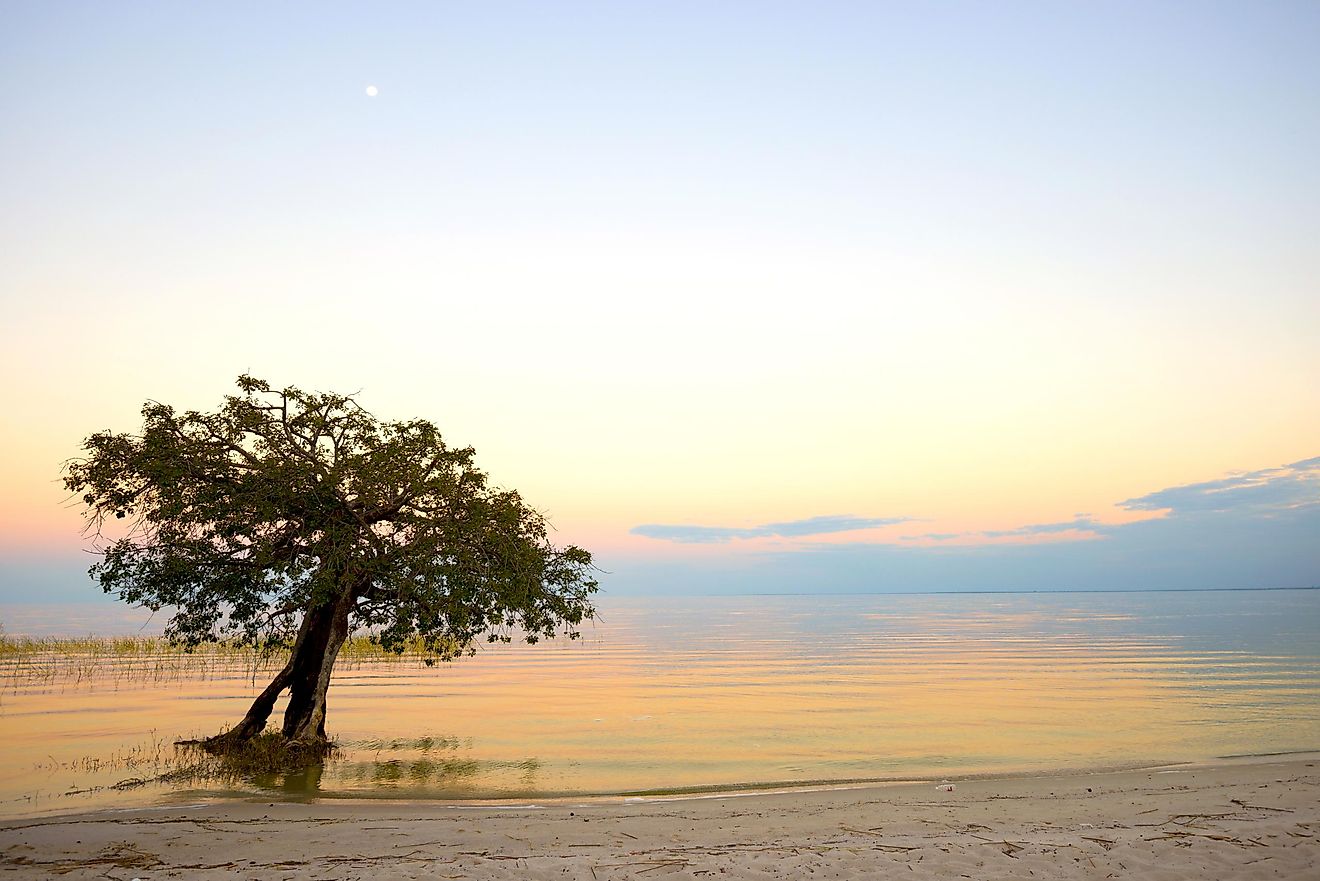 Lake Bangweulu - WorldAtlas