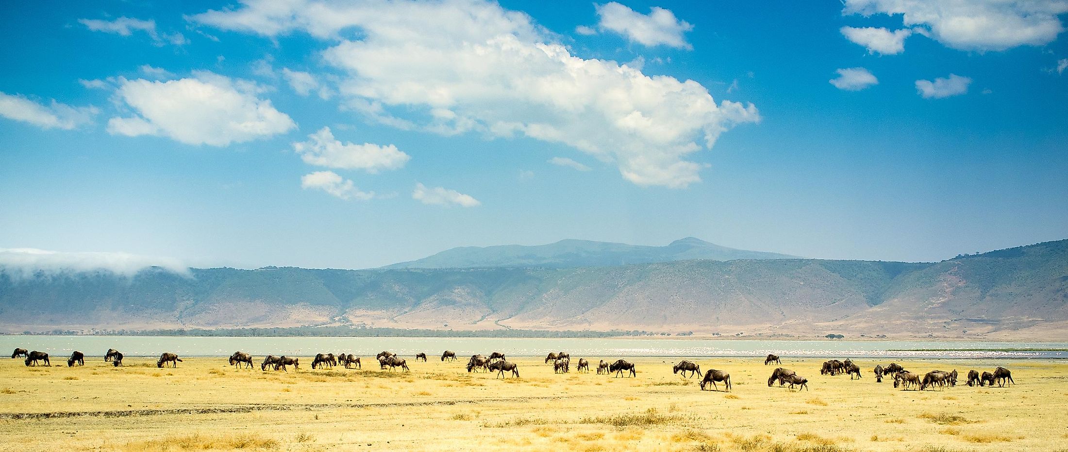The Seven Natural Wonders Of Africa - WorldAtlas