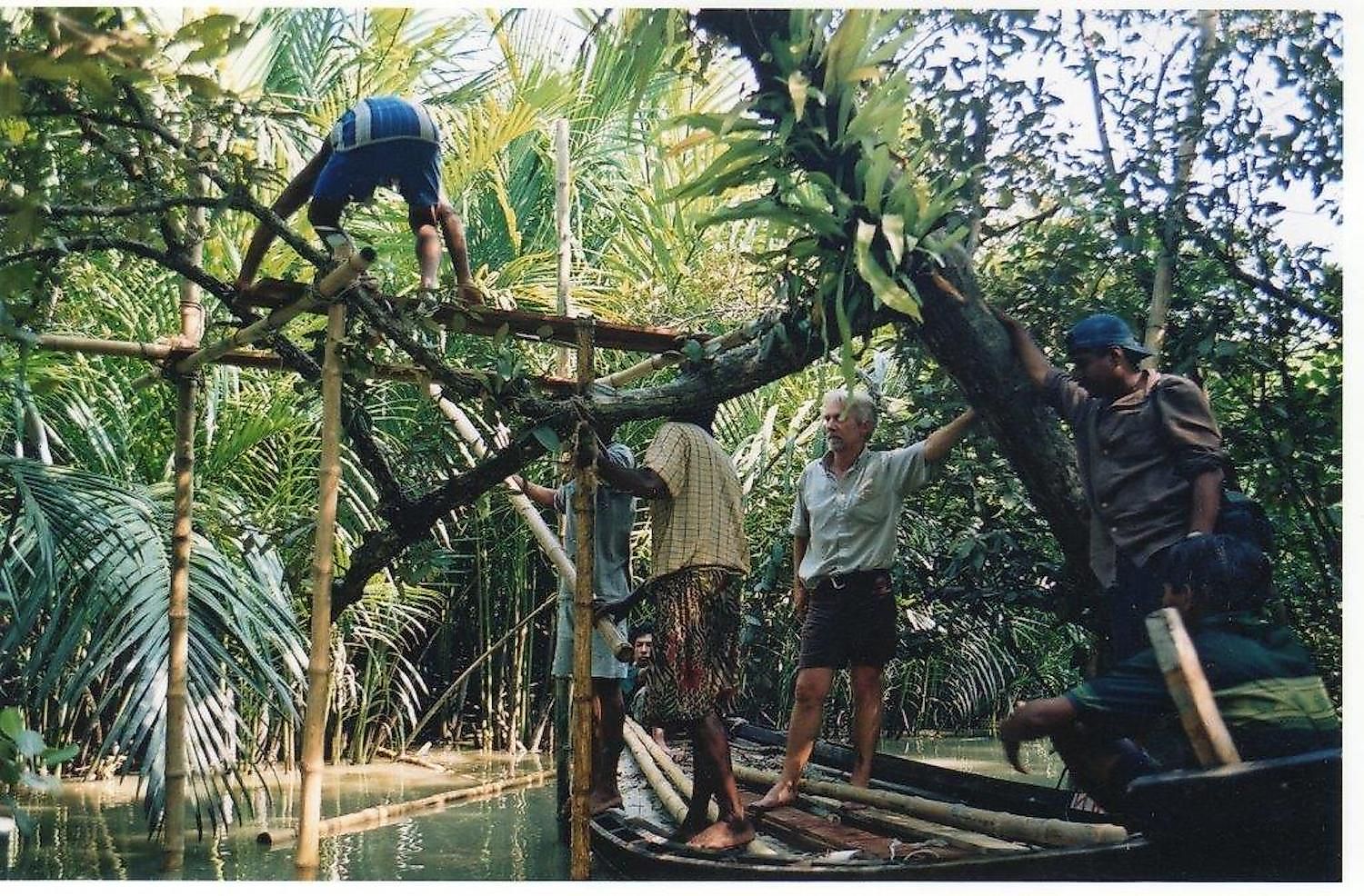 Meet The Man Who Spent Time With The Mysterious Mangrove Tigers