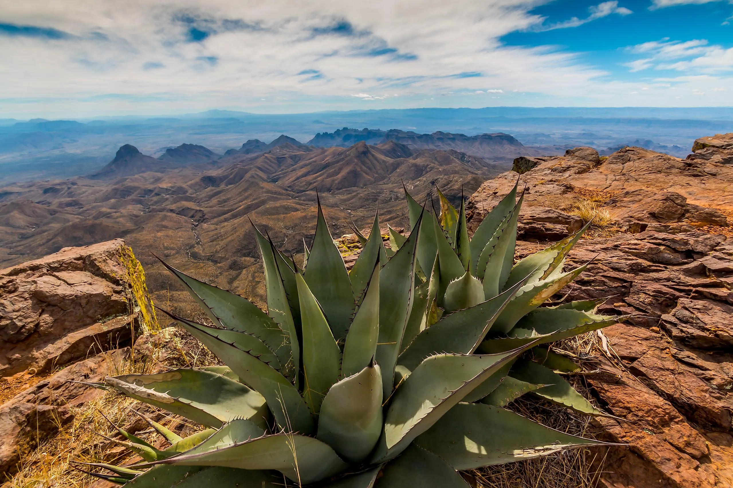 Chihuahuan Desert Climate