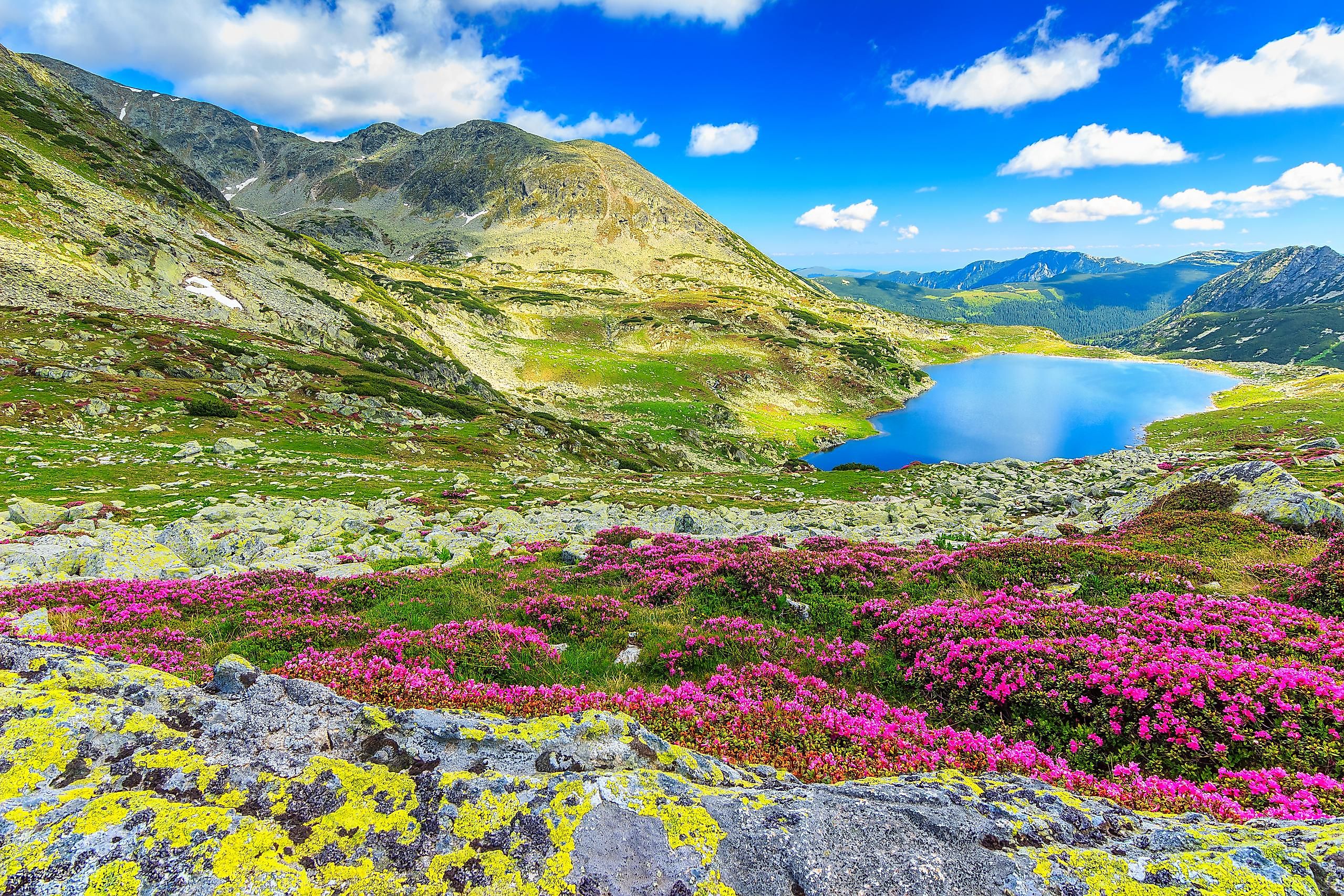 Carpathian Mountain Ranges