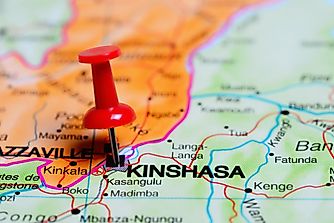 How Many Species of Insects Are There? - WorldAtlas.com