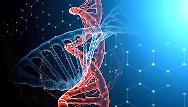 How Many Types Of Cultural Regions Are There? - WorldAtlas.com