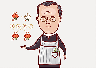 What Was The Spanish Flu? - WorldAtlas.com