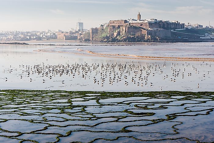 The Biggest Cities in Morocco - WorldAtlas.com