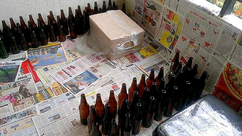 Making Glamor from Garbage: The Story of Silver Nut Tree - WorldAtlas.com