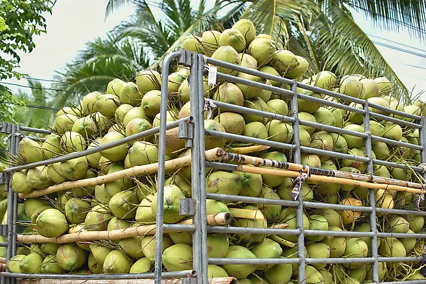 The World Leaders In Coconut Production - WorldAtlas The World Leaders In Coconut Production - WorldAtlas