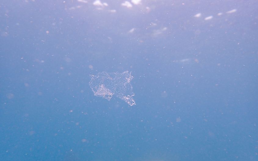 What Are Microplastics And Why Are They Bad? - WorldAtlas