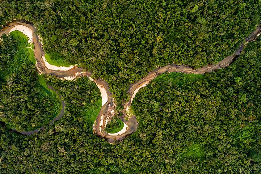 How Many Undiscovered Species Could There Be On Earth? - WorldAtlas How Many Undiscovered Species Could There Be On Earth? - WorldAtlas