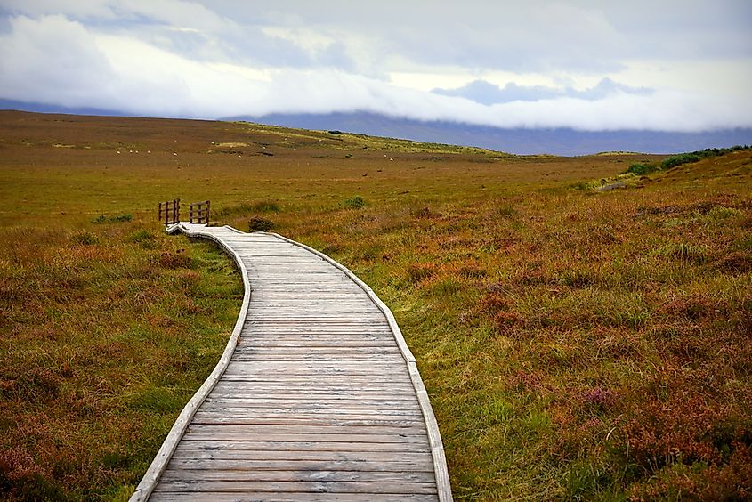 The Six National Parks Of Ireland - WorldAtlas