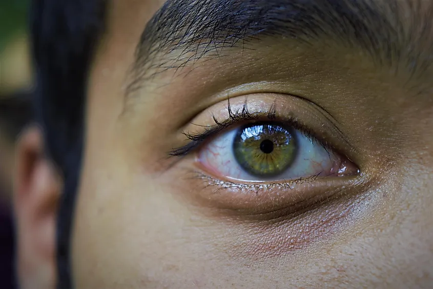 How Many Eye Colors Ranked By Rarity Morgan Moseng How Many Eye Colors Ranked By Rarity Morgan Moseng