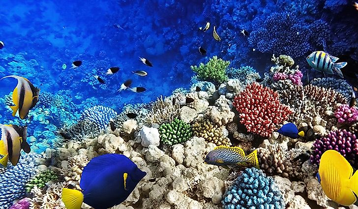 Disappearing Tuvalu: First Modern Nation to Drown? - WorldAtlas.com