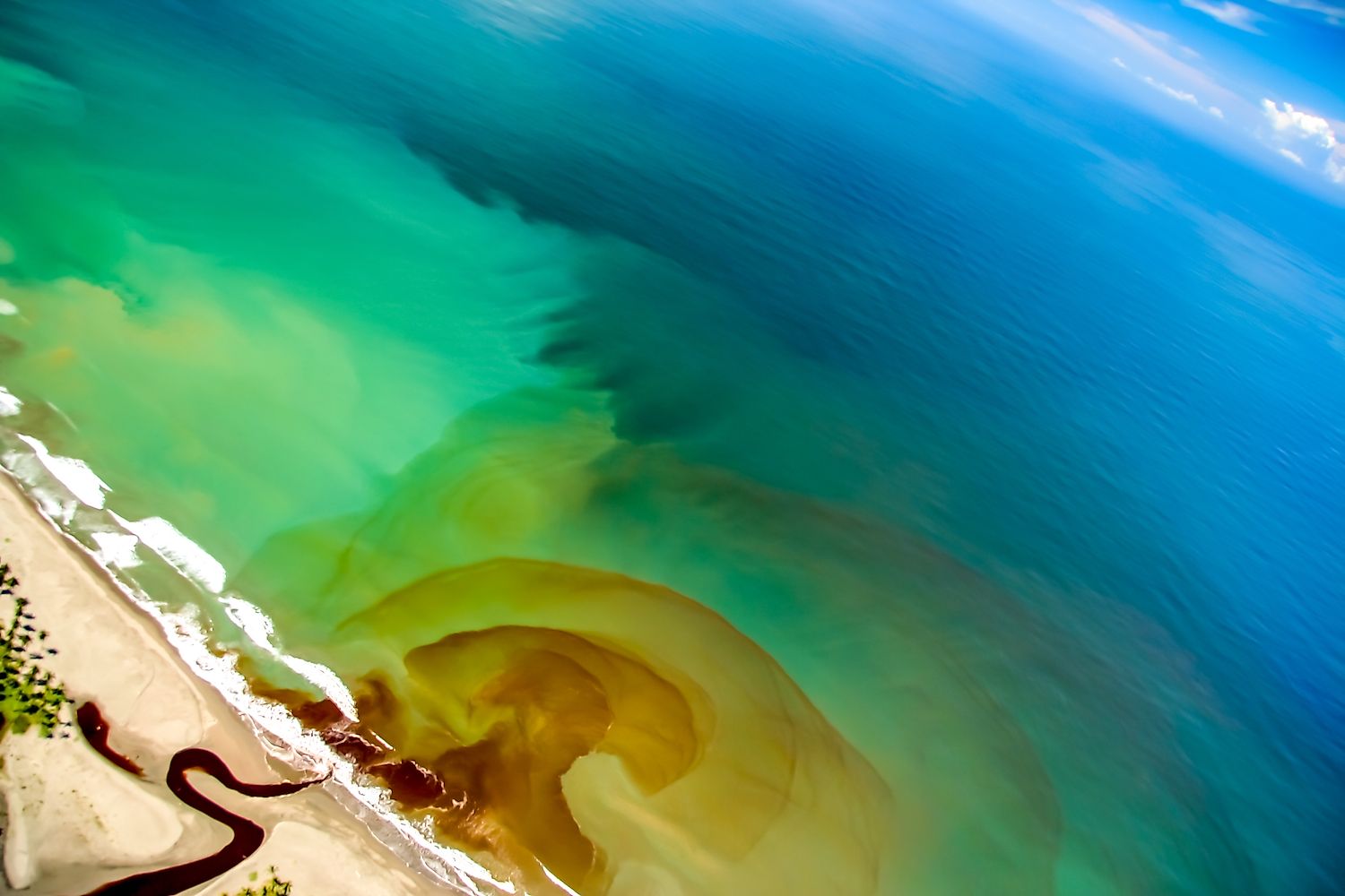 Here Are The Biggest Threats To Marine Wildlife Today - WorldAtlas