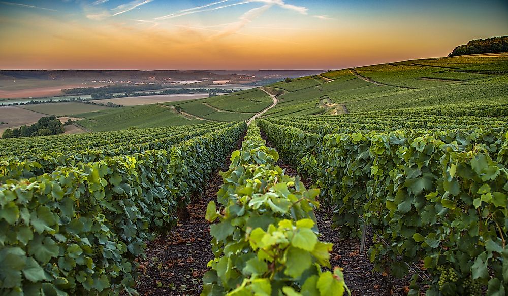Where Does Champagne Come From WorldAtlas Where Does Champagne Come From WorldAtlas
