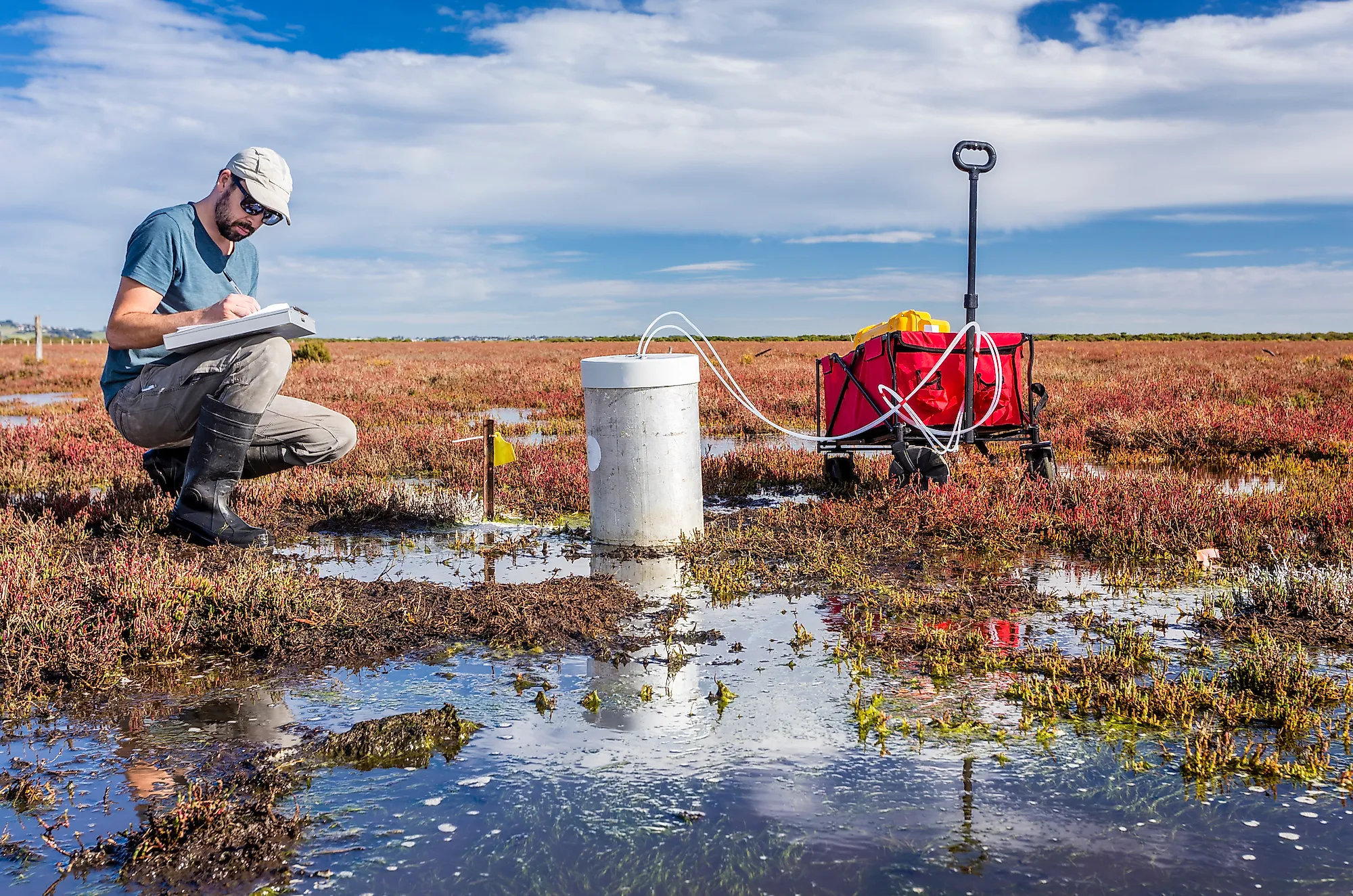 What Are The Major Threats To Wetland Ecosystems Around The World ...